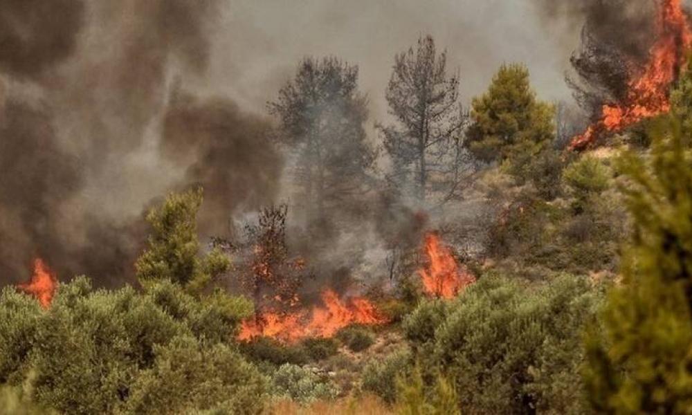 Πυροσβεστική - συναγερμός: Πυρκαγιά τώρα στην Σαλαμίνα | Pentapostagma