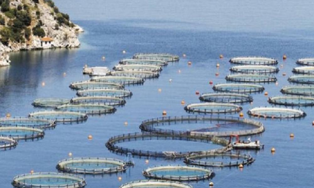 Δημόσια ενίσχυση ιχθυοκαλλιεργειών από το Ταμείο Ανάκαψης | Pentapostagma