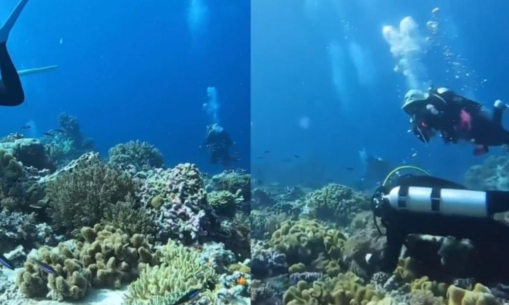 Τι συμβαίνει στον βυθό της θάλασσας όταν χτυπάει ο εγκέλαδος ...