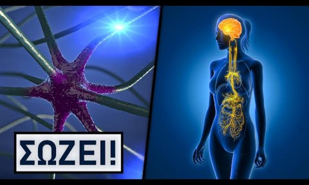 Πόσο βοηθά η διέγερση του μεγαλύτερου νεύρο στην υγεία μας; | Pentapostagma