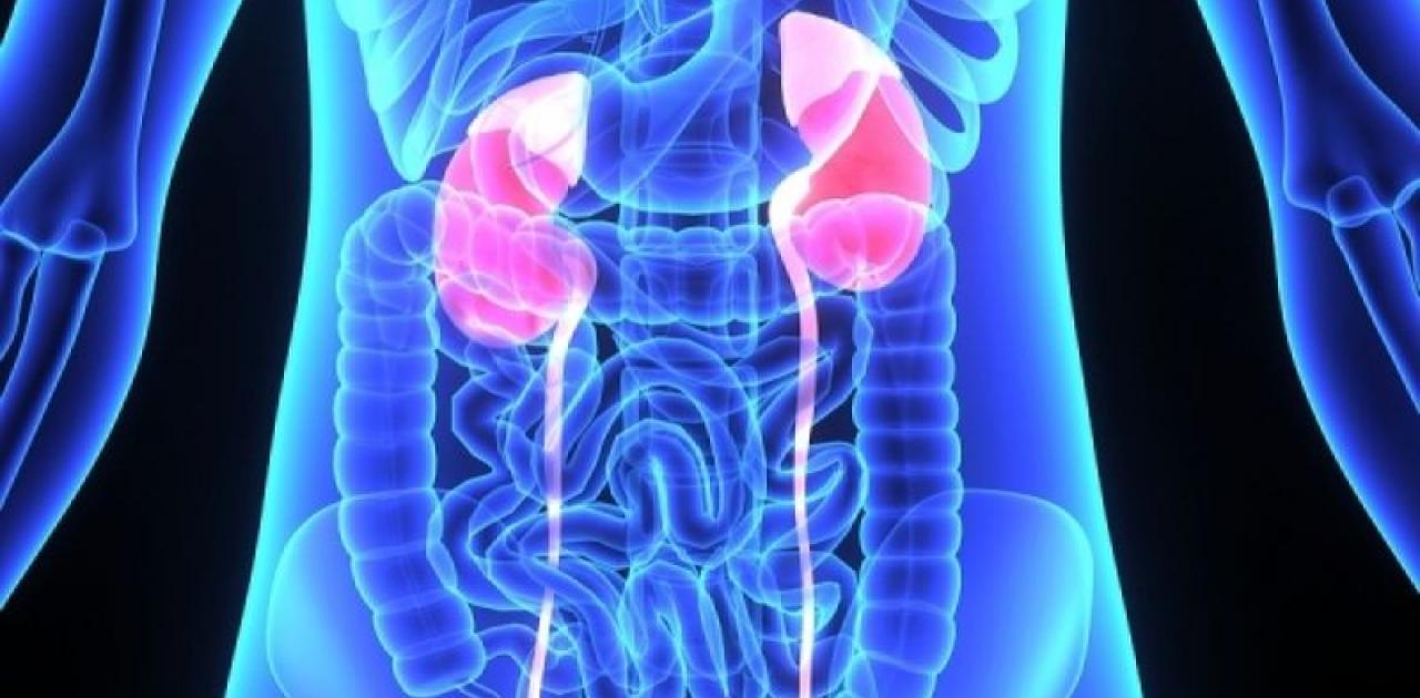 Αυτές είναι οι τροφές που καταστρέφουν τα νεφρά | Pentapostagma