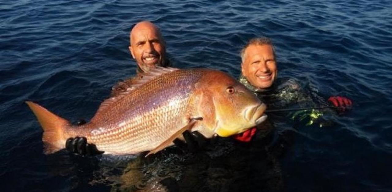 Παγκόσμιο ρεκόρ Έλληνα υποβρύχιου κυνηγού που κτύπησε συναγρίδα... 11 ...