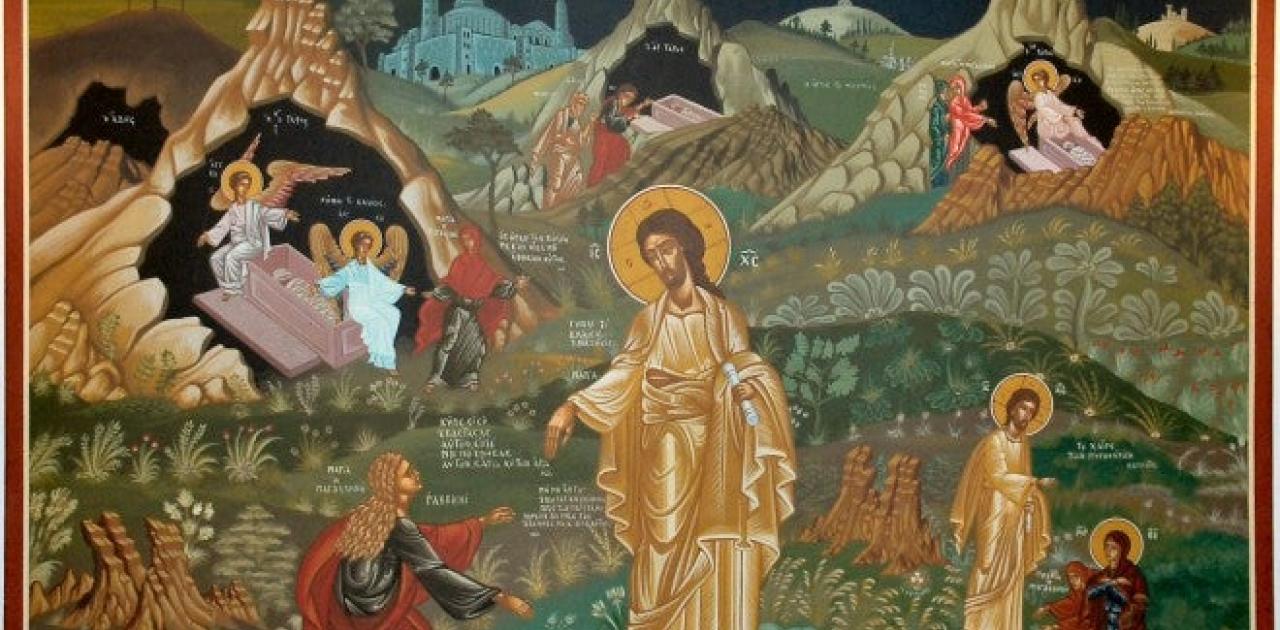 "Μη μου άπτου": Πώς προέκυψε η φράση που χρησιμοποιούμε συνήθως για ...