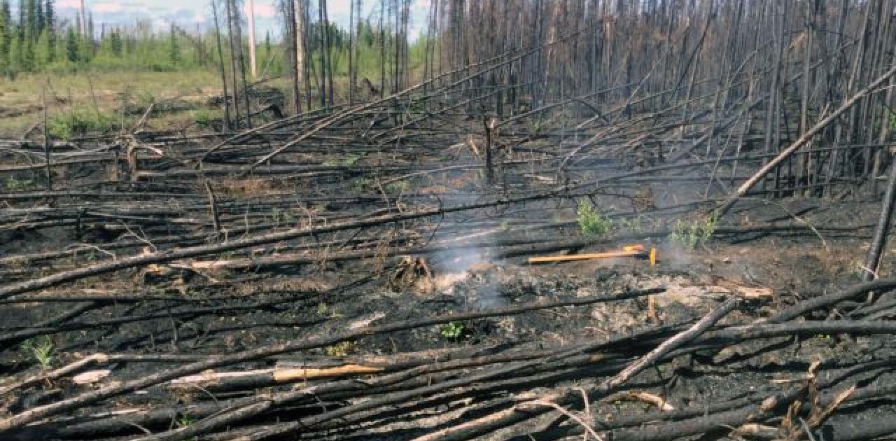 Υπουργείο Εσωτερικών: 22,9 εκατ. ευρώ για δράσεις πυροπροστασίας ...