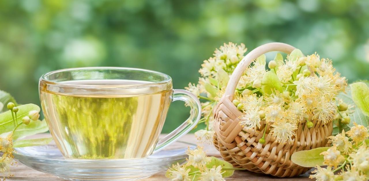 Τίλιο: Αυτά είναι τα πέντε πιθανά οφέλη για την υγεία μας | Pentapostagma