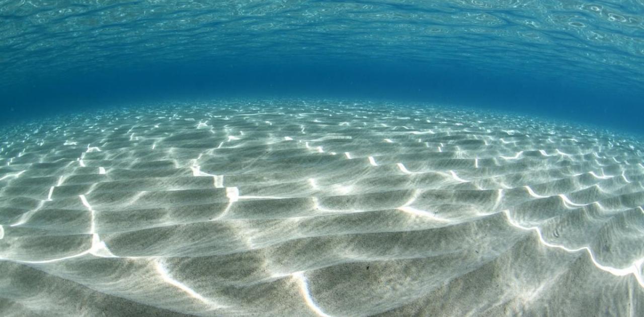 Γιατί έχουν αλλάξει χρώμα οι ωκεανοί τα τελευταία 20 χρόνια ...