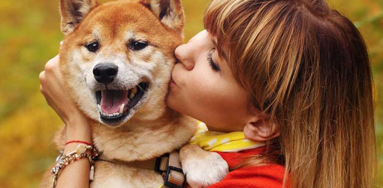 Πόσο μας μοιάζουν οι σκύλοι μας; Οι ομοιότητες στις γνωστικές ...