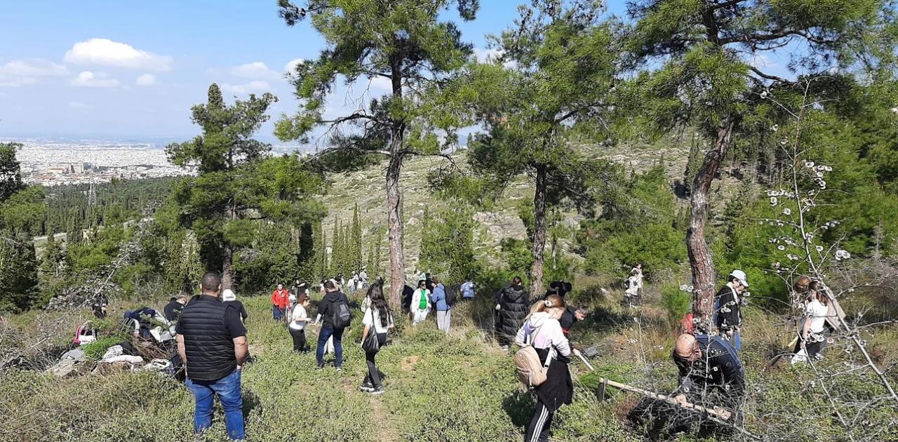 Θεσσαλονίκη: Δενδροφύτευση από μαθητές του αρμενικού σχολείου στο Σέιχ ...