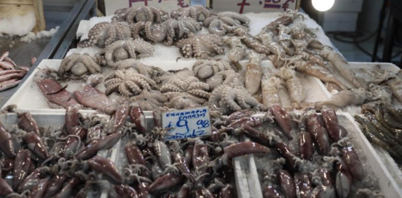 Έως και 2 ευρώ "έχουν πέσει" οι τιμές των θαλασσινών στην Βαρβάκειο για ...
