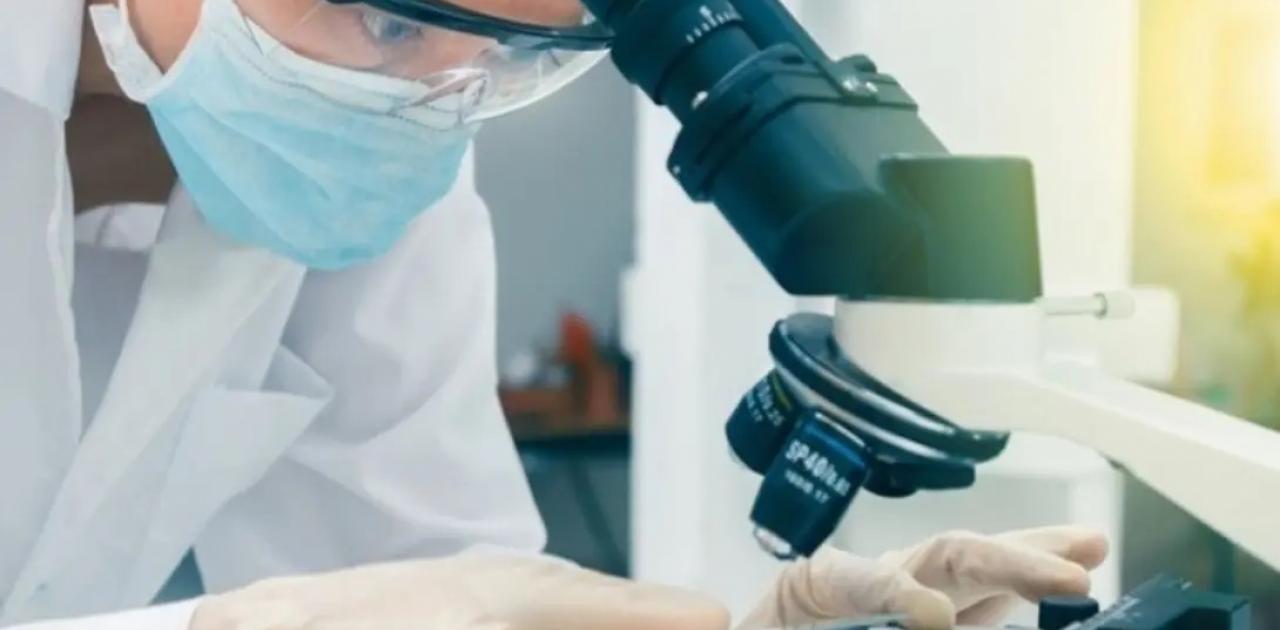 Επιστήμονες ανακάλυψαν νέο όργανο στο ανθρώπινο σώμα | Pentapostagma