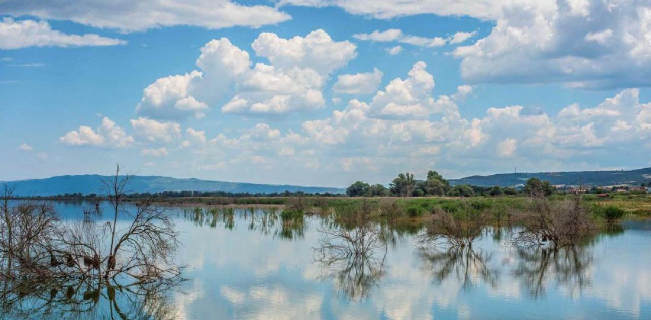 Αραιές βροχές και αύξηση της θερμοκρασίας «αδειάζουν» τις λίμνες Βόλβη ...