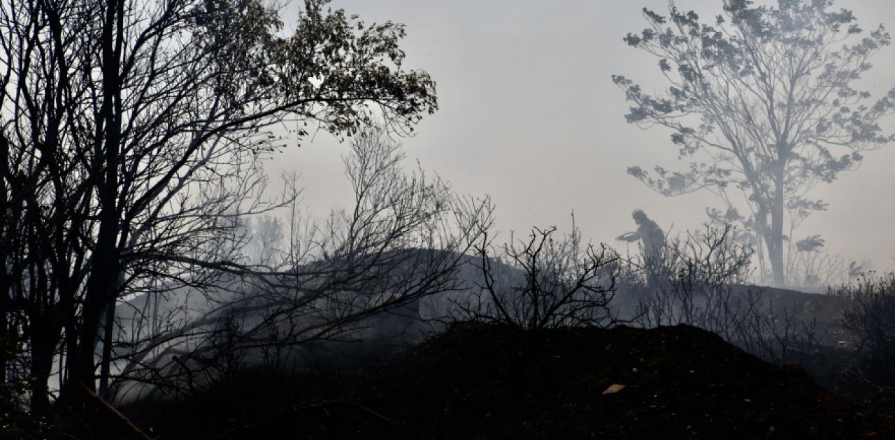 55.000 στρέμματα καμένης γης σε Κύθηρα, Εύβοια, Αττική, Χανιά και ...