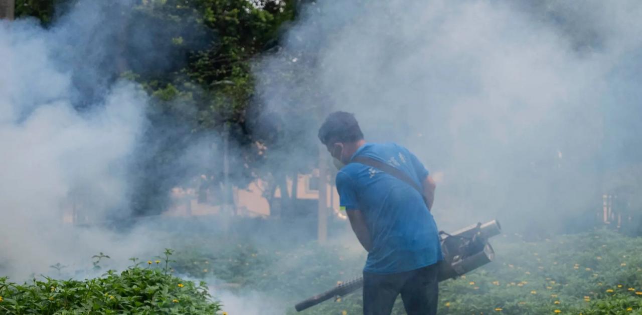 Μετά τον Covid ήρθε ο... Chikungunya: Ο νέος ιός που σαρώνει την Κίνα - Πόσο κοντά είμαστε σε ...