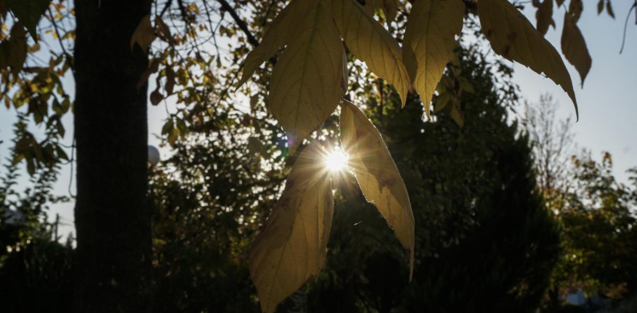 Πότε θα έρθει ο χειμώνας: Οι ήπιες μέρες πριν τα Χριστούγεννα ...