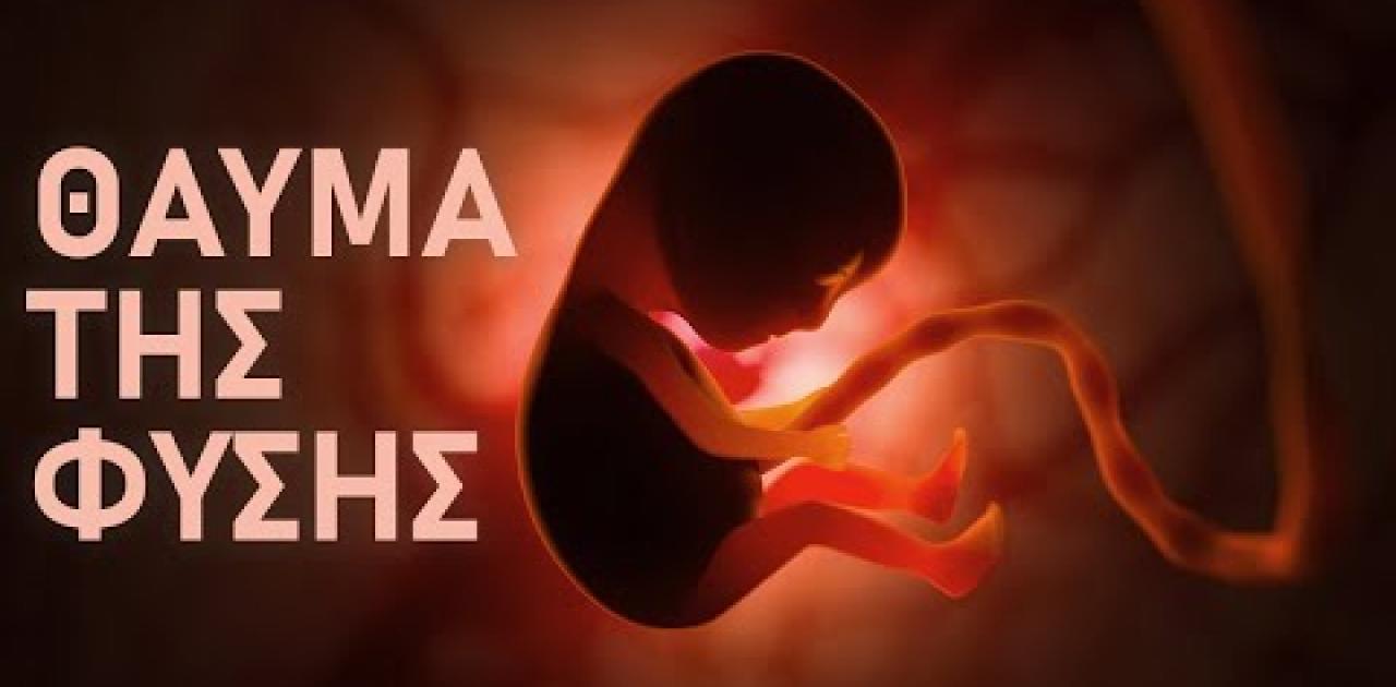 Απίστευτο! Δείτε πώς αναπνέει ένα έμβρυο στην κοιλιά της μαμάς του ...
