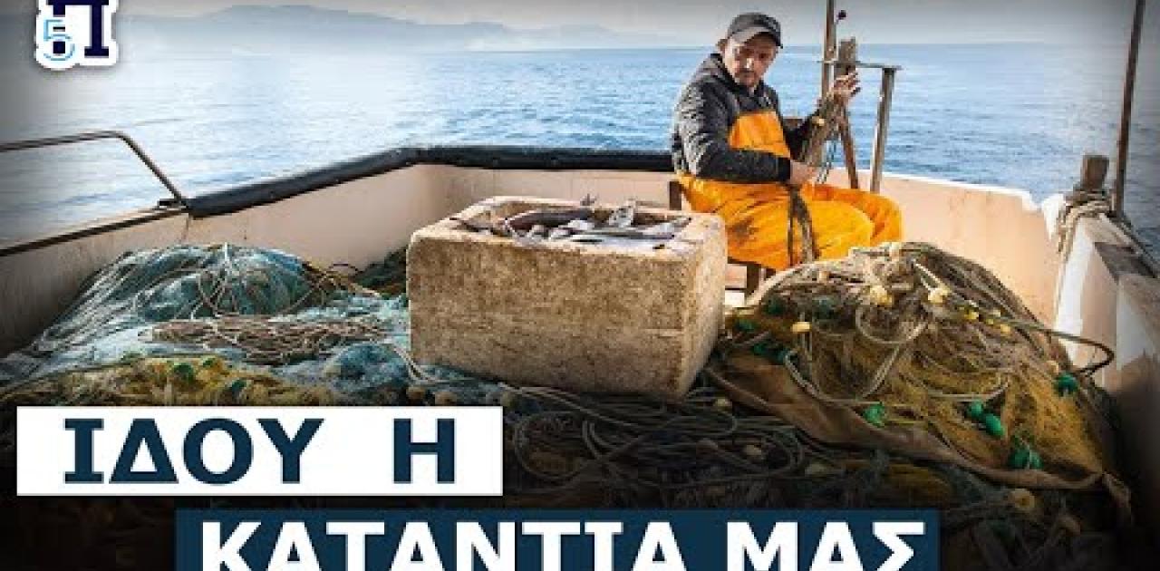 Έλληνας ιδιοκτήτης Τράτας: «Αν φύγουν οι Αιγύπτιοι, τελειώνει η μέση ...