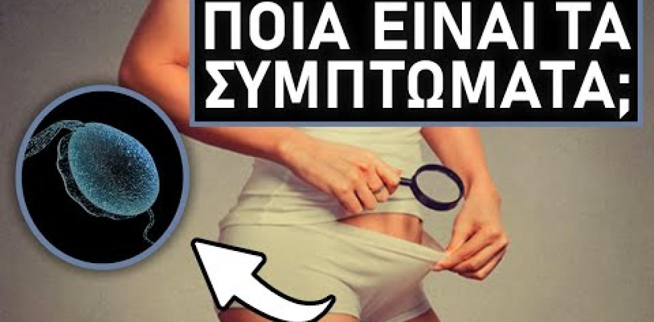 Όλα όσα πρέπει να ξέρετε για την Τριχομονάδα: Ένα από τα πιο κοινά ΣΜΝ ...