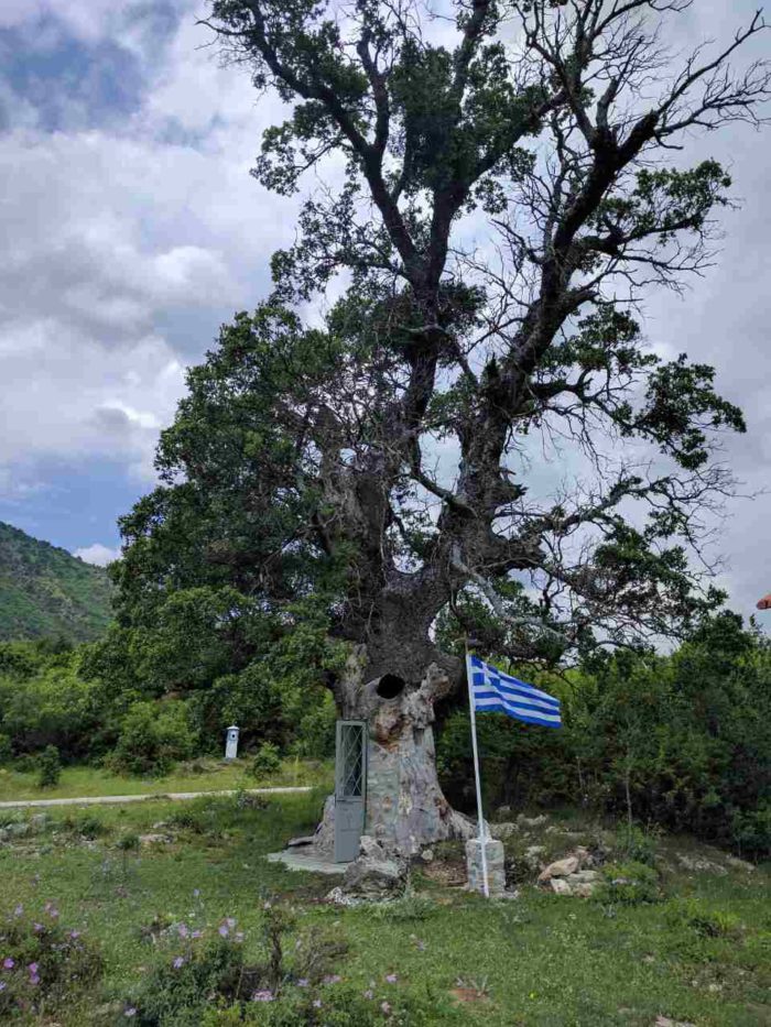 Η ΠΙΣΤΗ κάνει ΘΑΥΜΑΤΑ!-Δείτε τί ΣΥΓΚΛΟΝΙΣΤΙΚΟ συμβαίνει στο παρεκκλήσι ...